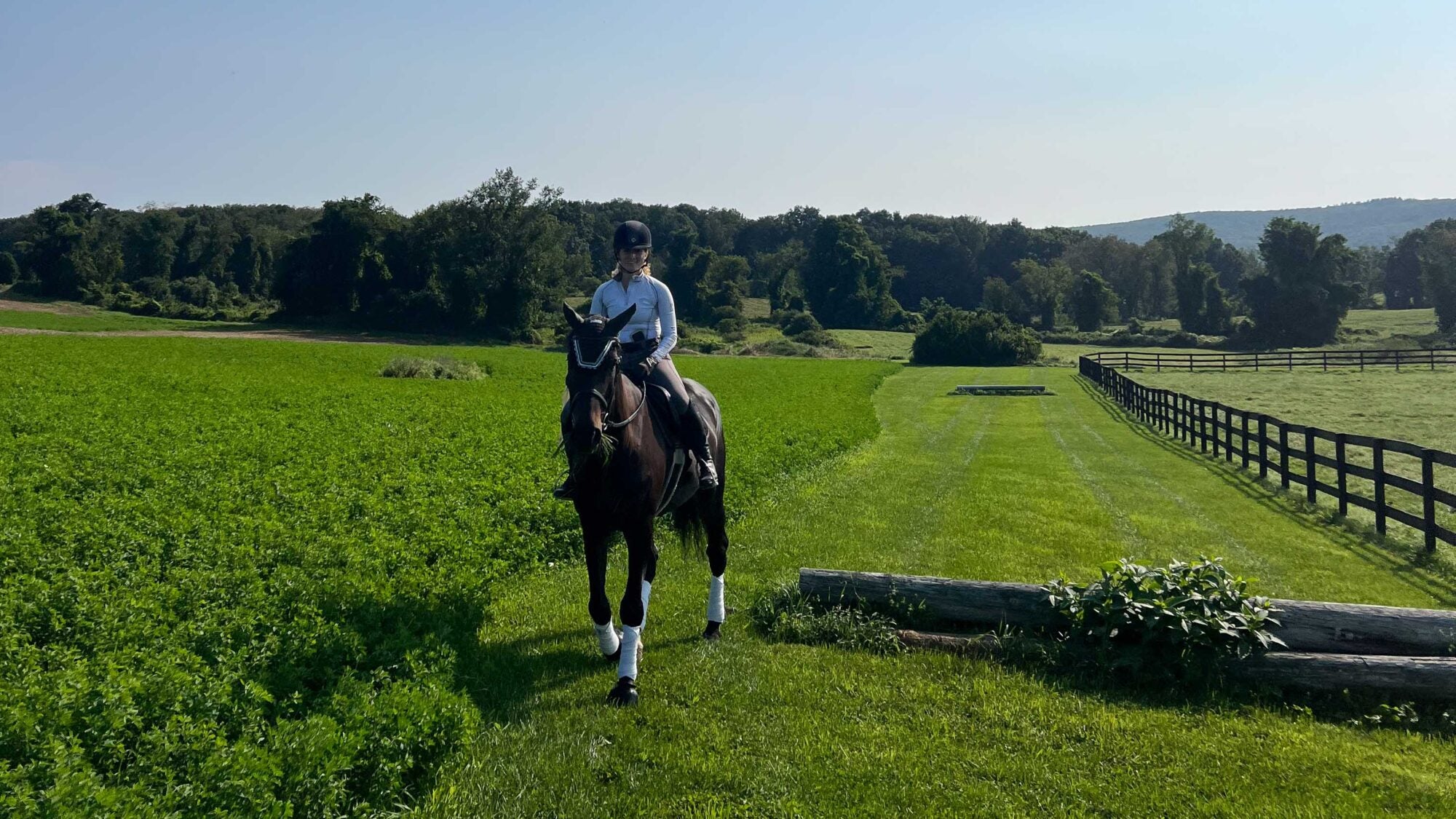 To Capture the Whole Picture of Mental Health, Anna Douglas (C’24 ...
